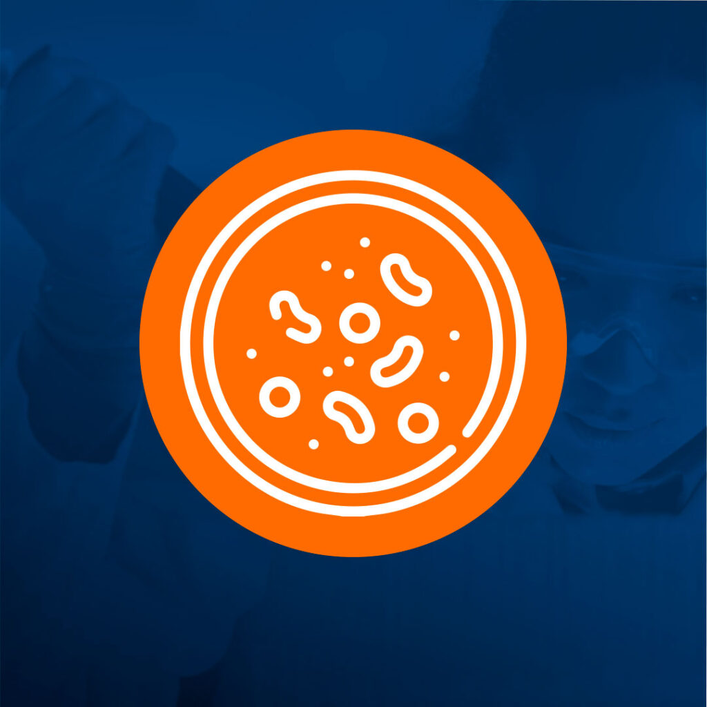 Tejas PVC - Polyvalle